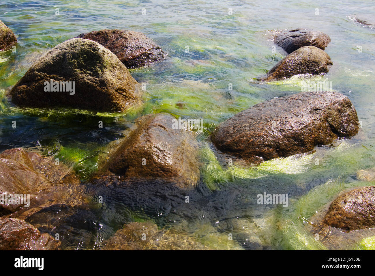 algae boulder cairn salt water sea ocean water stones danger plant ...