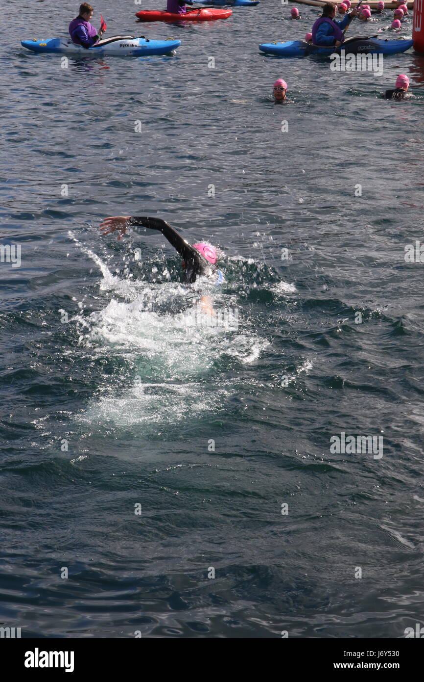 Female swimmer lake front crawl hi-res stock photography and images - Alamy