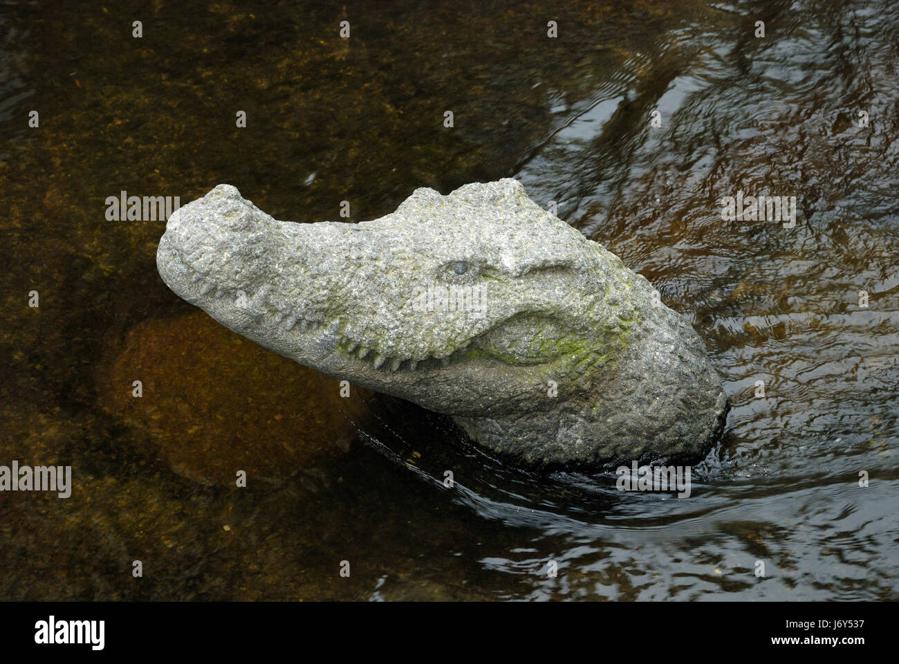 Steintier hi-res stock photography and images - Alamy