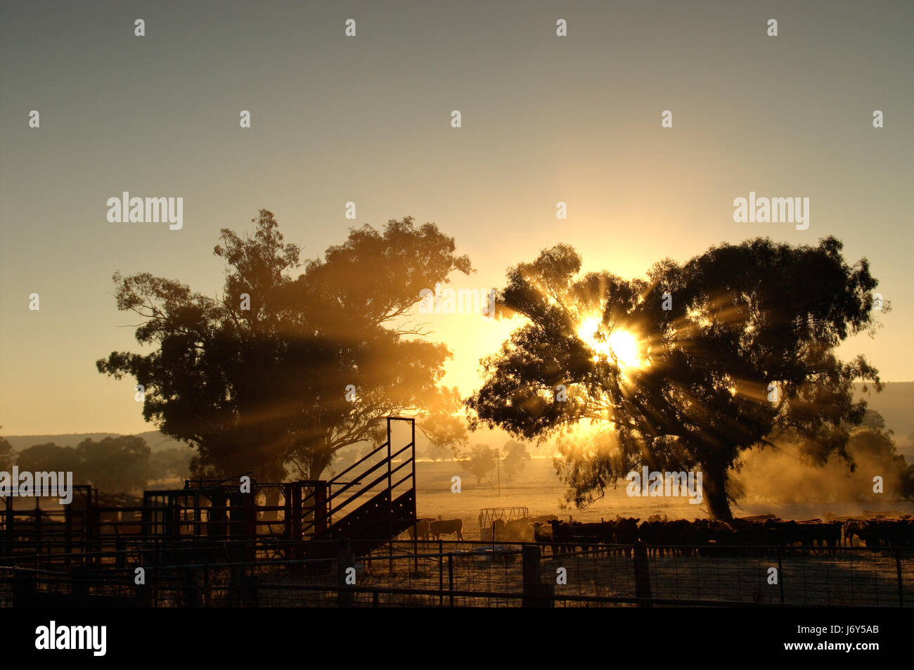 Early Morning Sunrise Farm