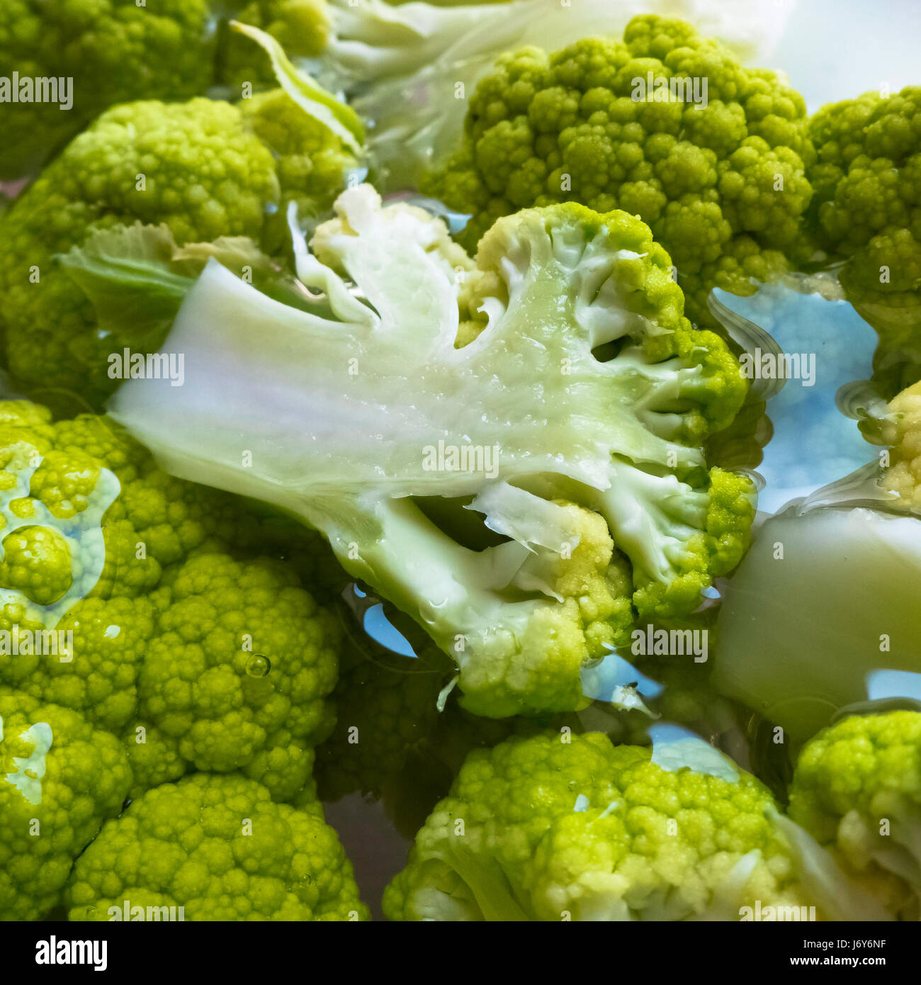 Fresh cabbage in water Stock Photo - Alamy