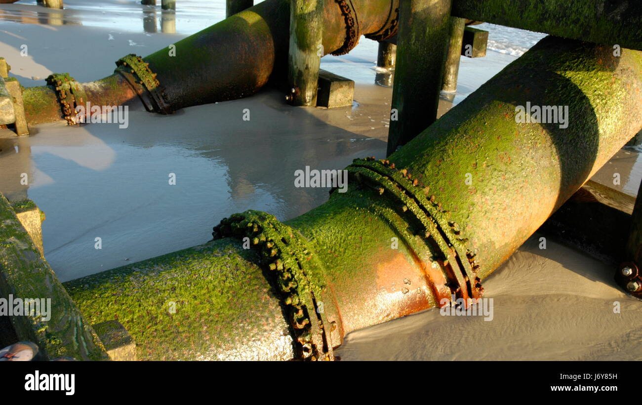 environment enviroment beach seaside the beach seashore environmental ...