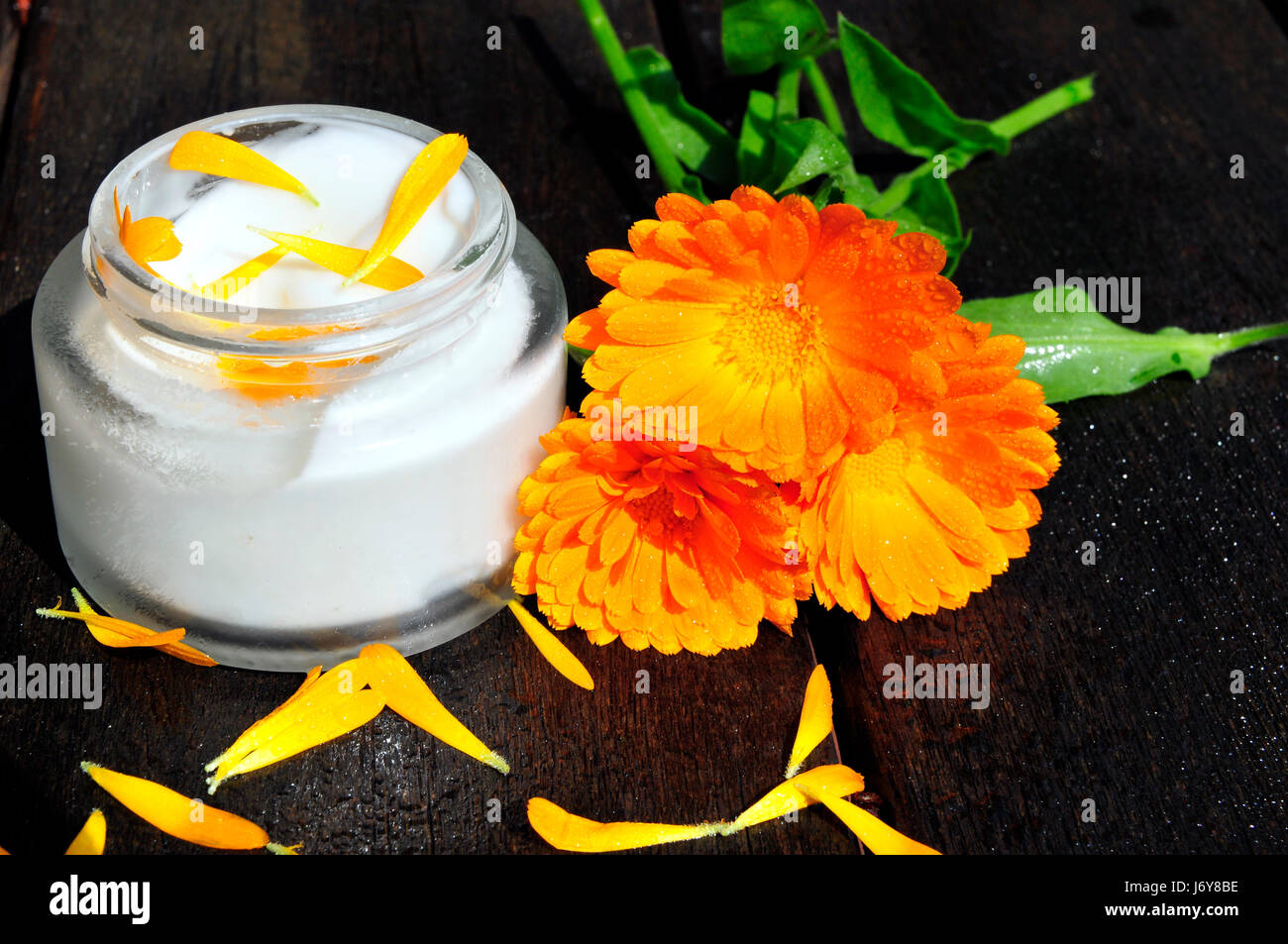 Ointment plant hi-res stock photography and images - Alamy