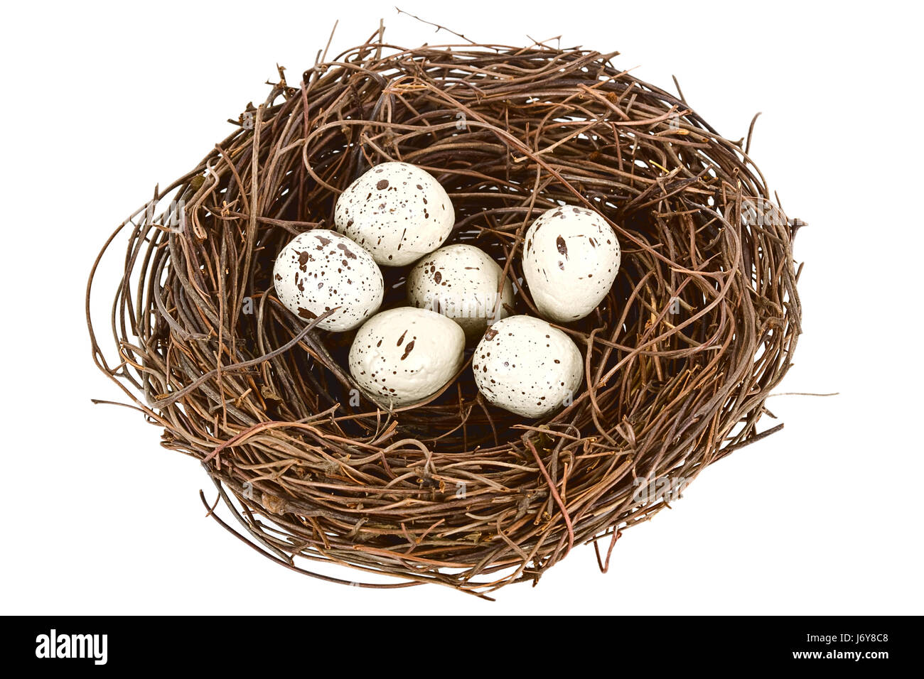 bird future nest egg artistic baby newborn child newborn infant newborn ...