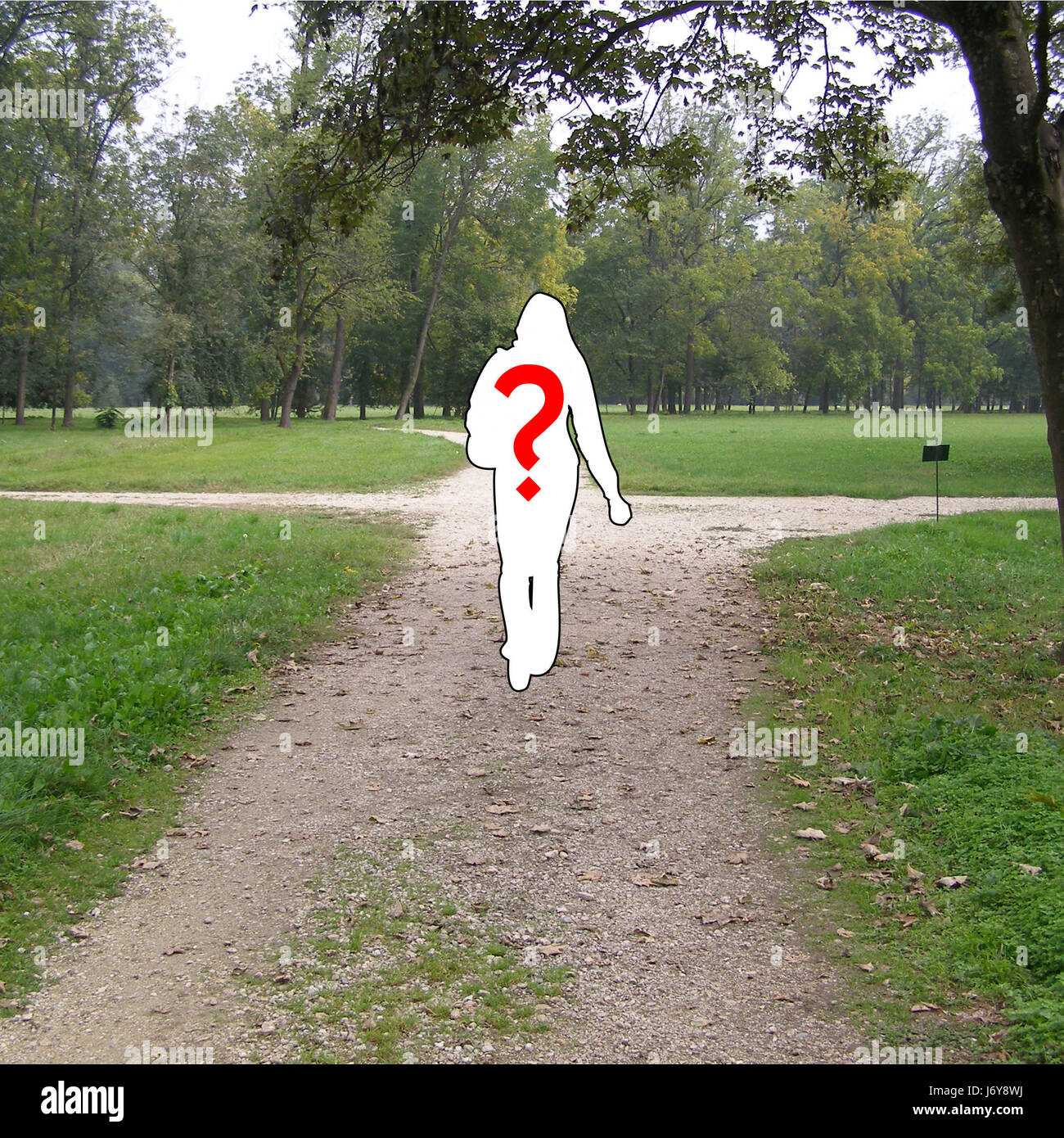 woman female decision choice path way success girl girls woman female ...