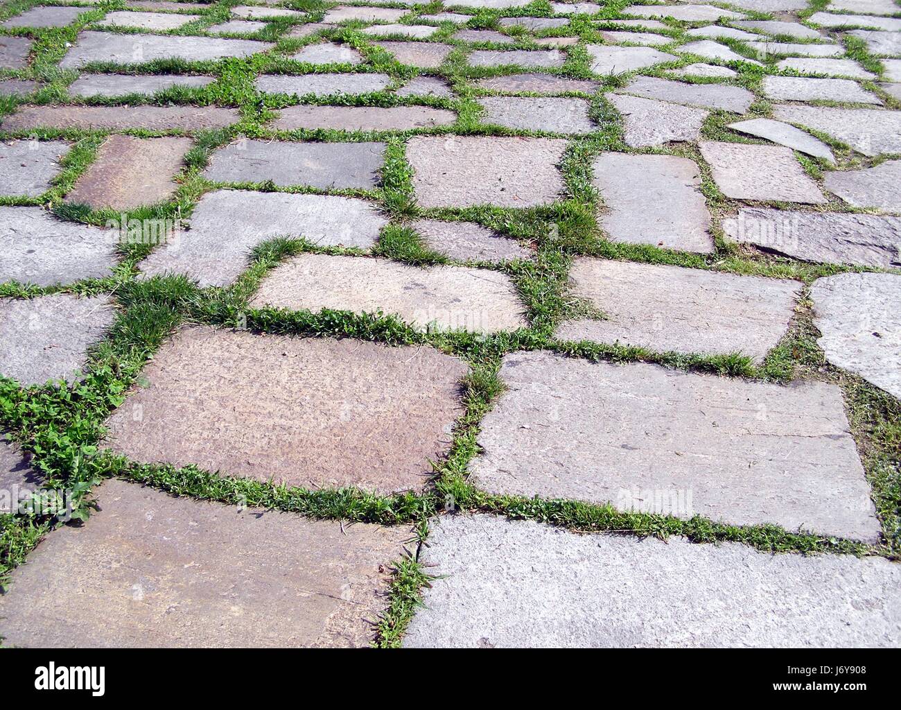 stone pavement roman ancient road street meadow grass lawn green stone ...