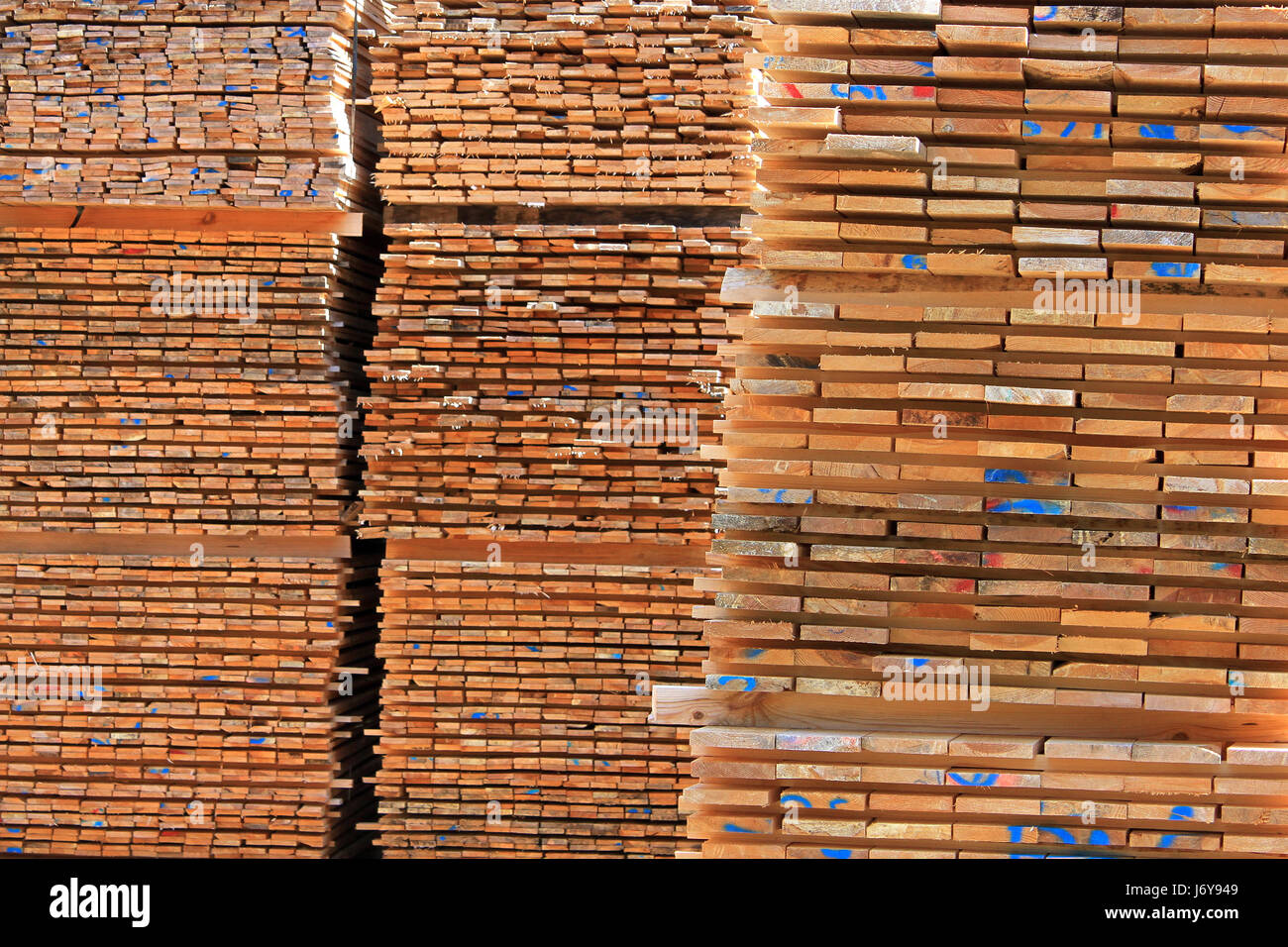 tree trees wood planks plank sawmill carpenter joinery carpentry tree ...