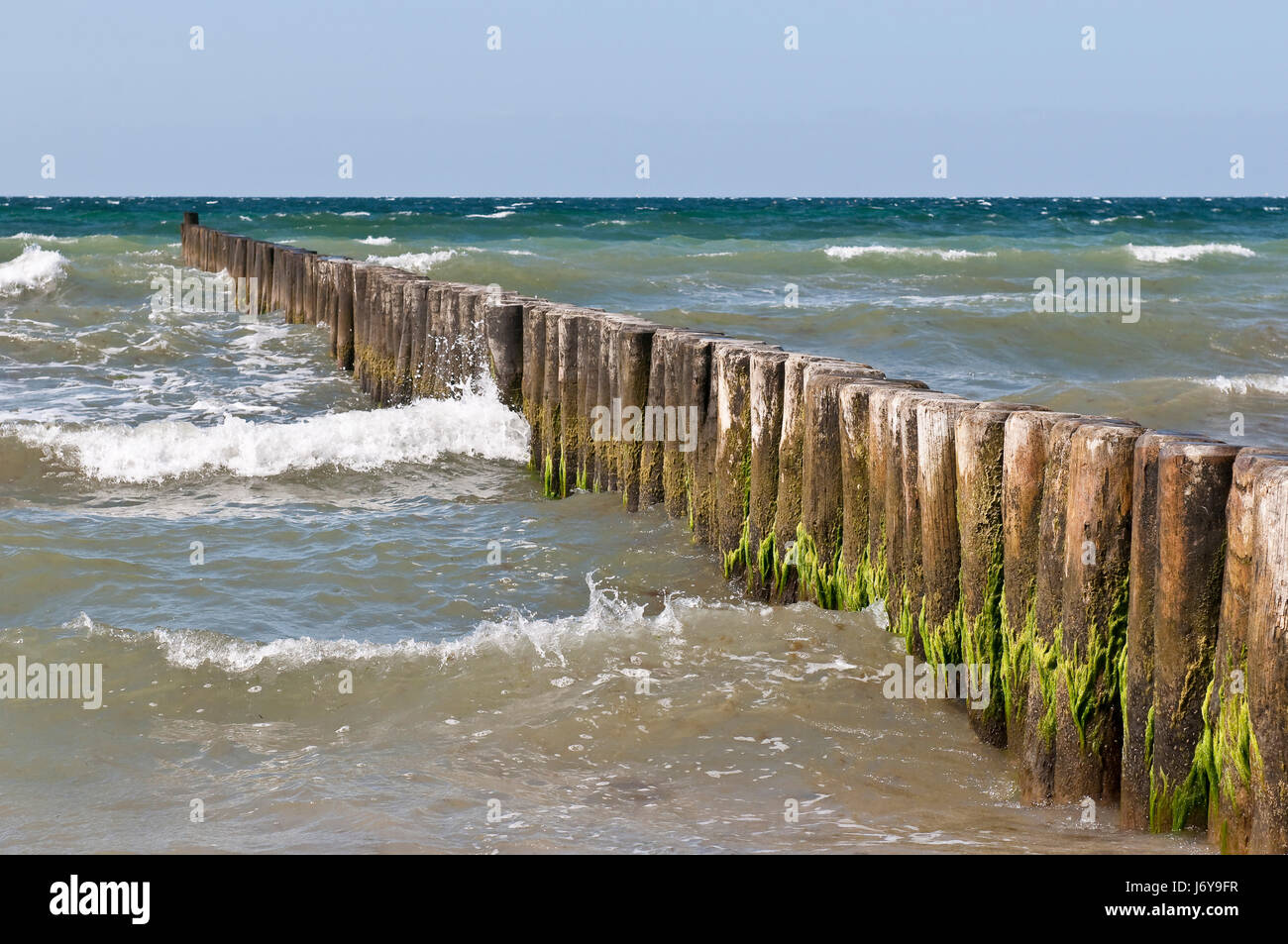 groynes on the baltic sea Stock Photo - Alamy