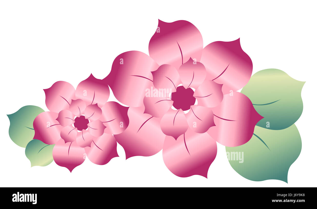 flower plant arrangement beautiful beauteously nice detail art model ...