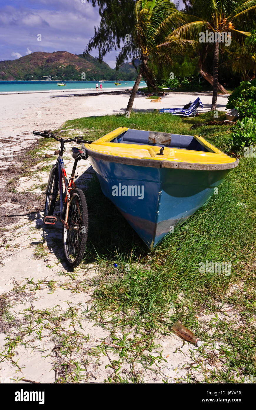 palm tree impression firmament sky sands sand water isle island clouds ...