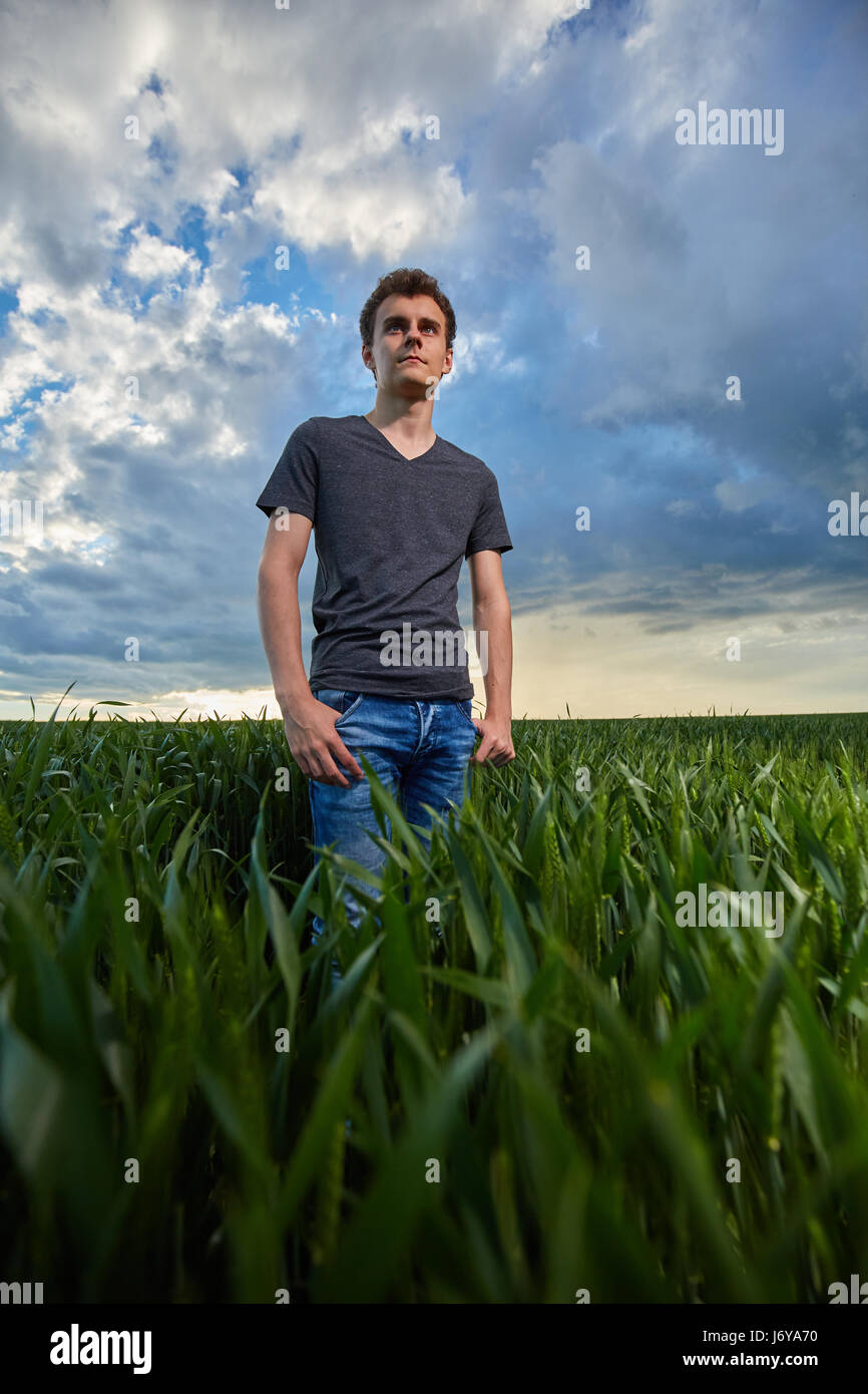 Teenage boy standing in a wheat field at sunset, closeup portrait Stock ...