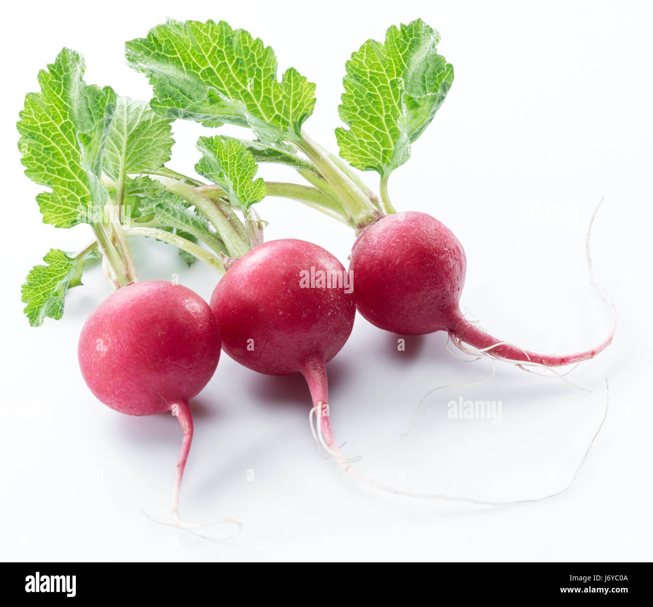 Redish background hi-res stock photography and images - Alamy