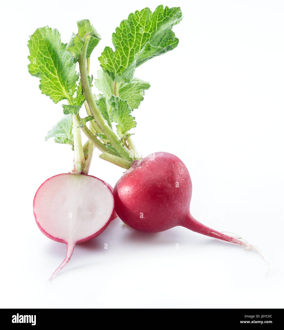 Red salad redish on the white background Stock Photo - Alamy