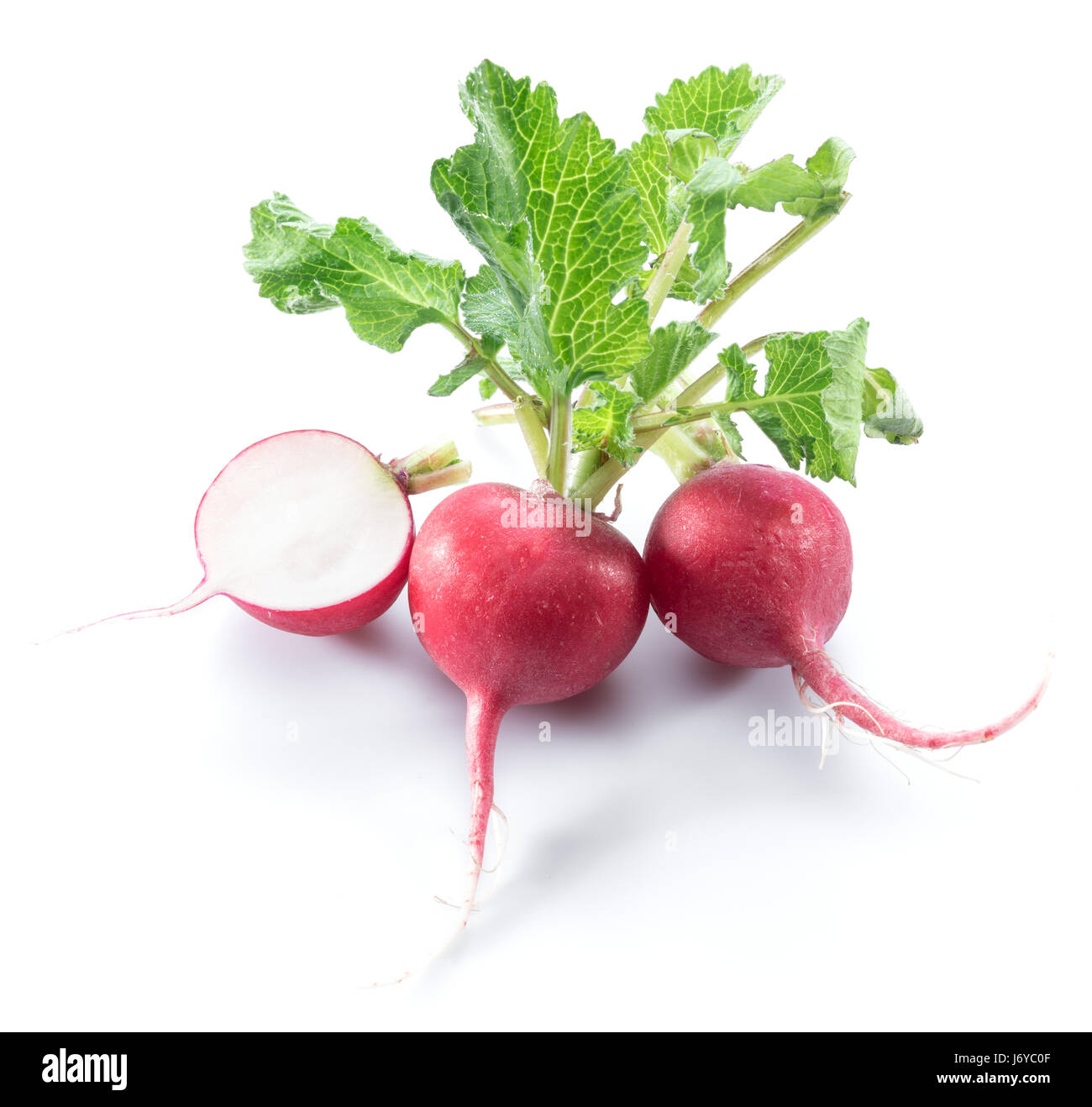 Redish leaf hi-res stock photography and images - Alamy