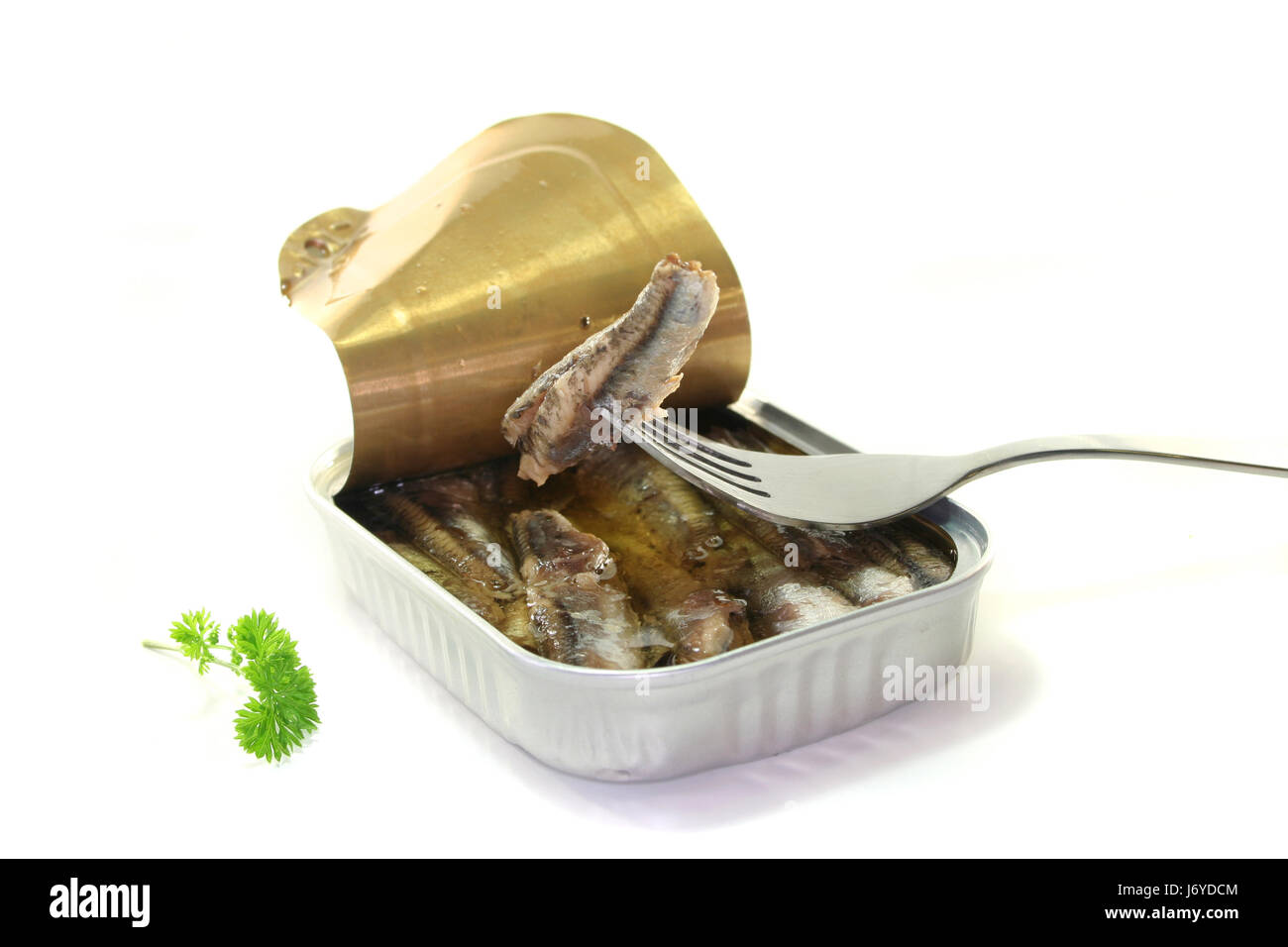 Anchovy anchovies menu Cut Out Stock Images & Pictures - Alamy