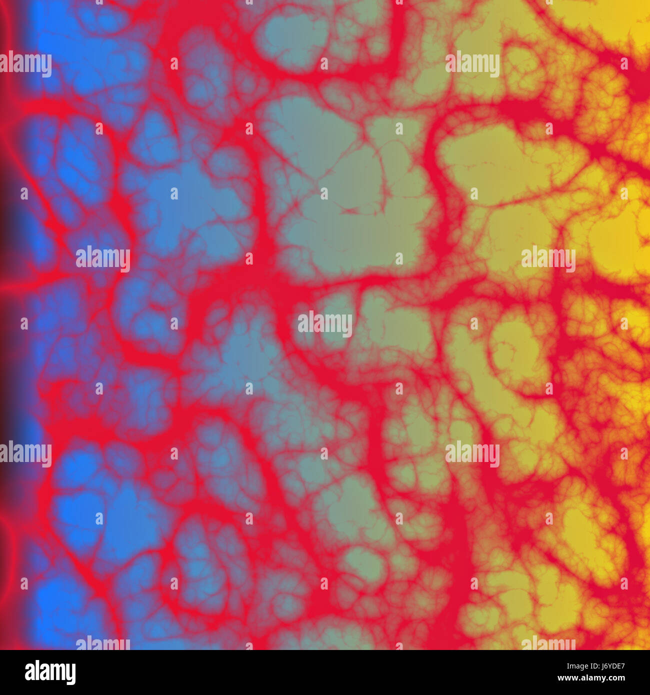 biological veins health macro close-up macro admission close up view ...