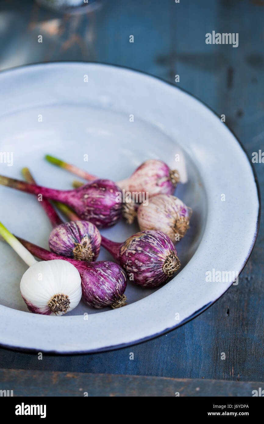 purple Garlic in a bowl Stock Photo - Alamy