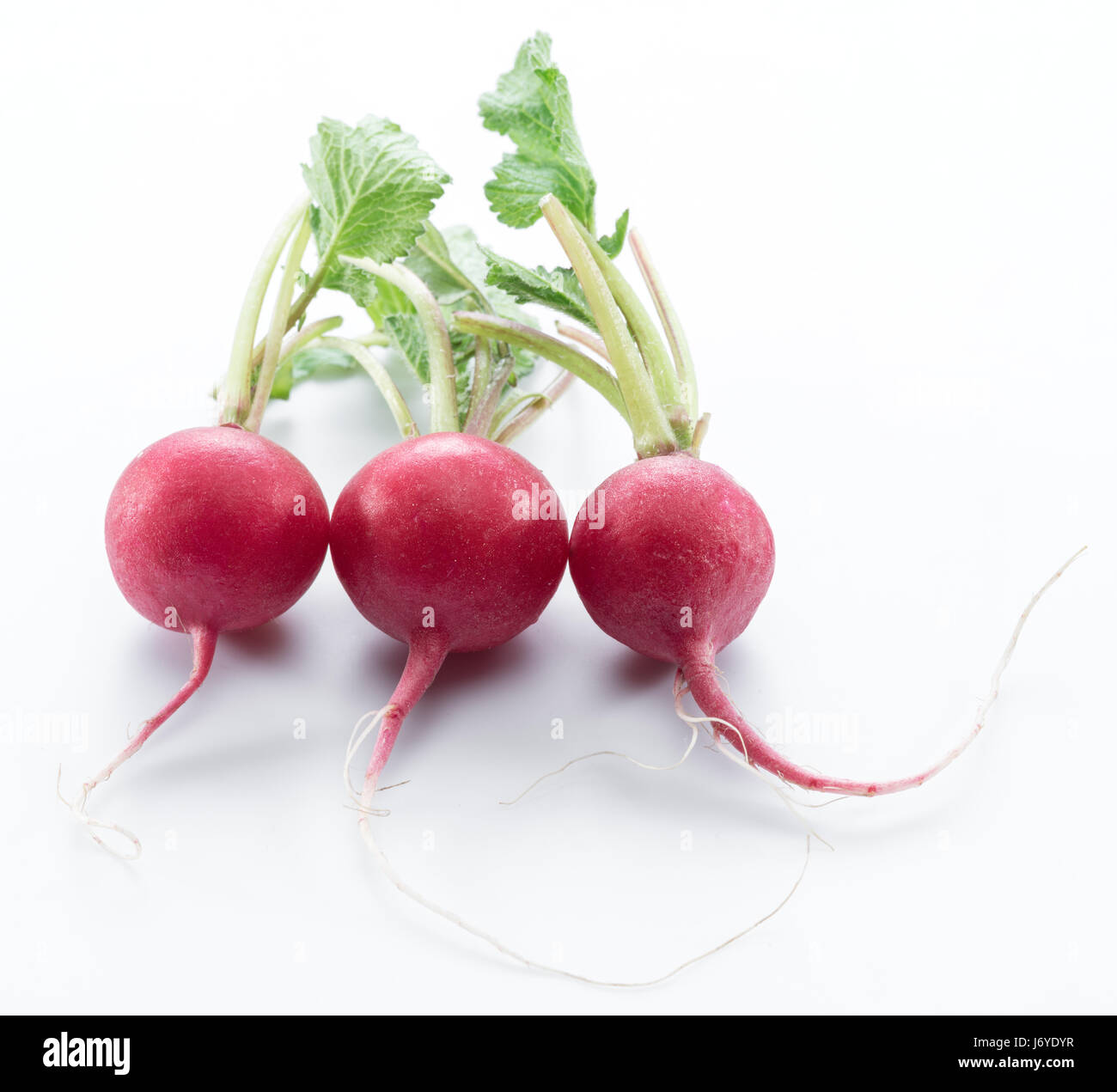 Redish background hi-res stock photography and images - Alamy