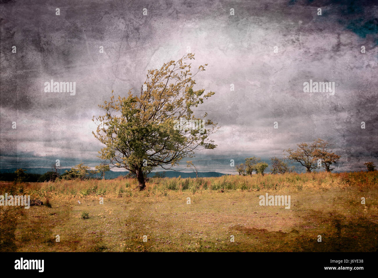 horizon outdoor sight view outlook perspective vista panorama lookout ...
