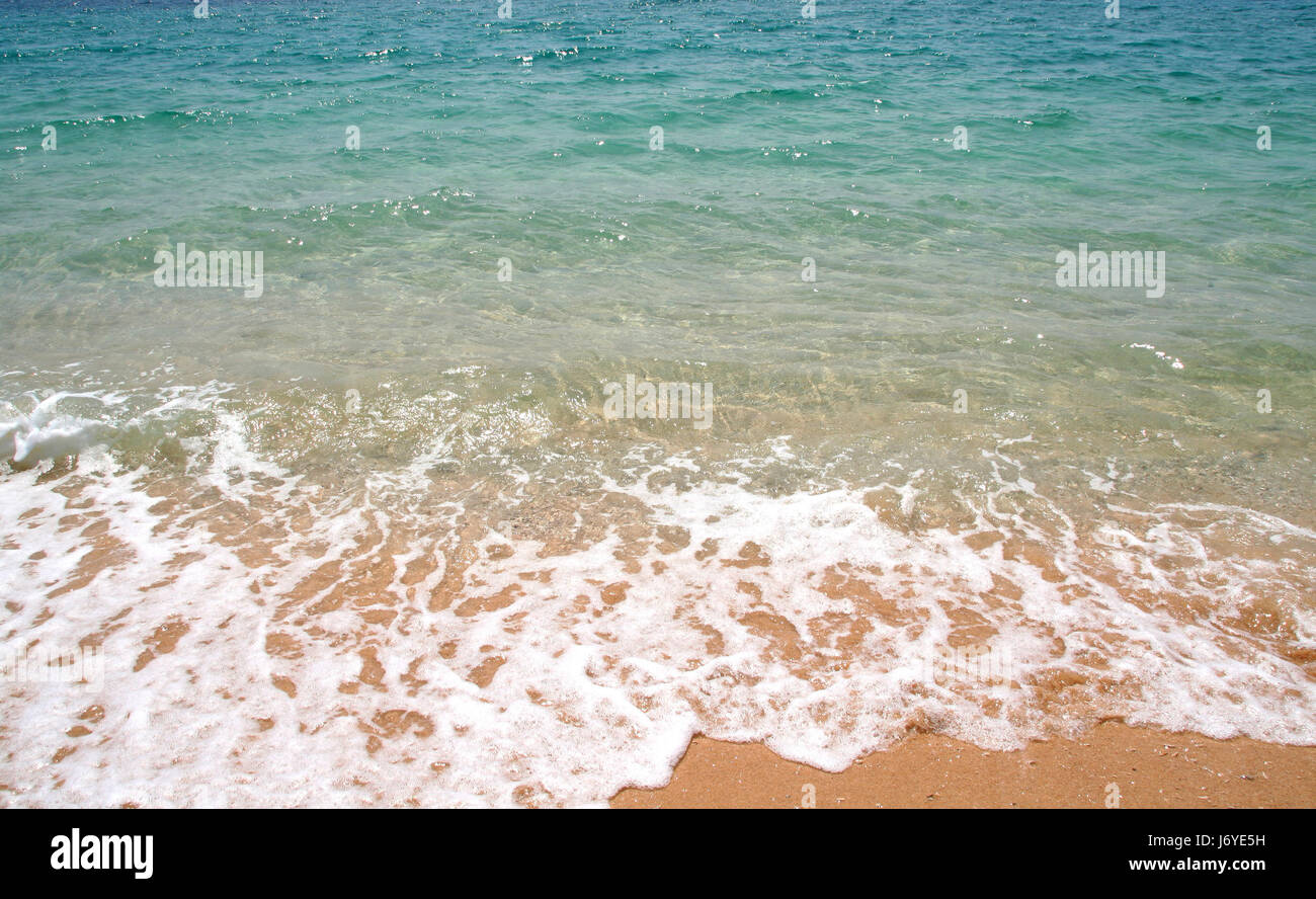 beach seaside the beach seashore summer summerly wave tropical island ...