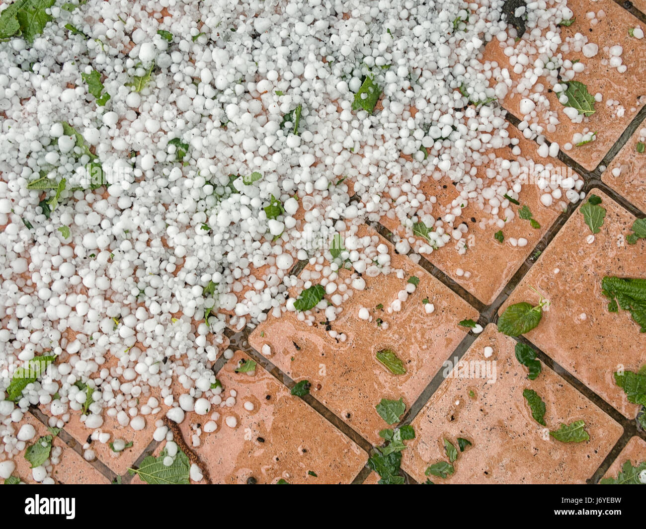 Extreme weather. Large hailstones about 1cm across.Photo taken north ...