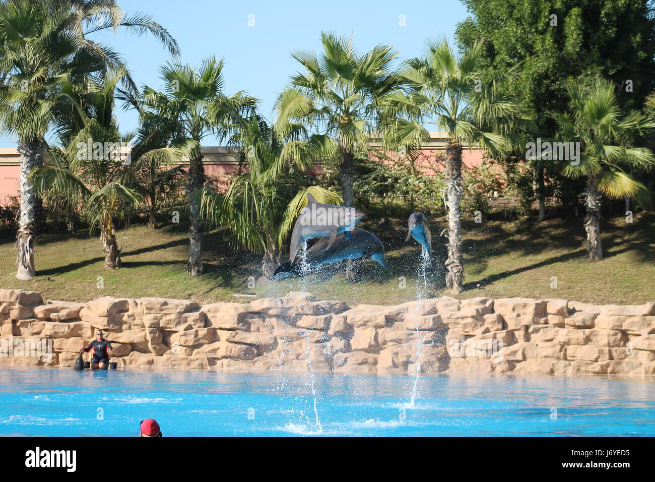 Atlantis dubai dolphin hi-res stock photography and images - Alamy
