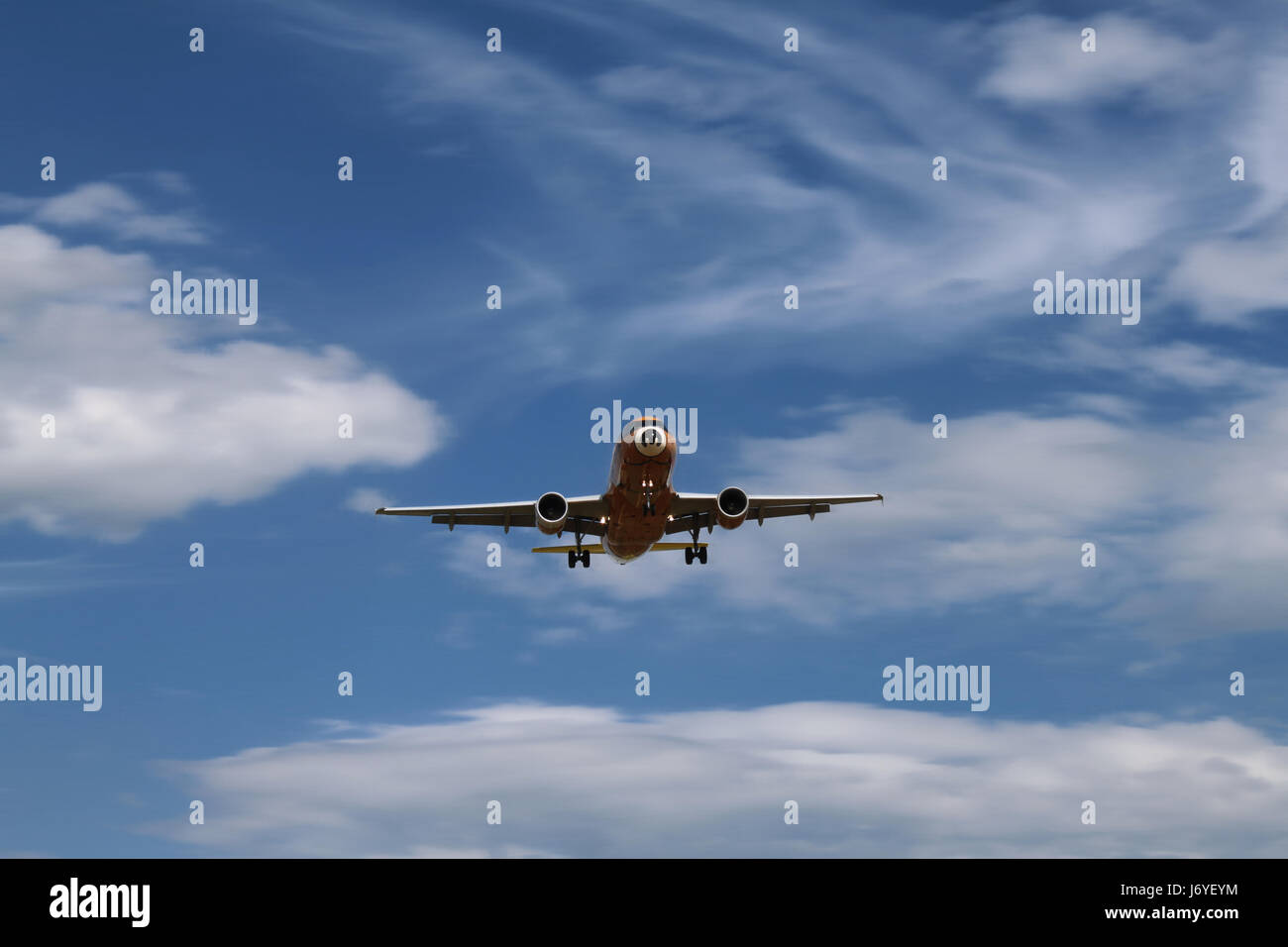 berlin bear bus Stock Photo - Alamy