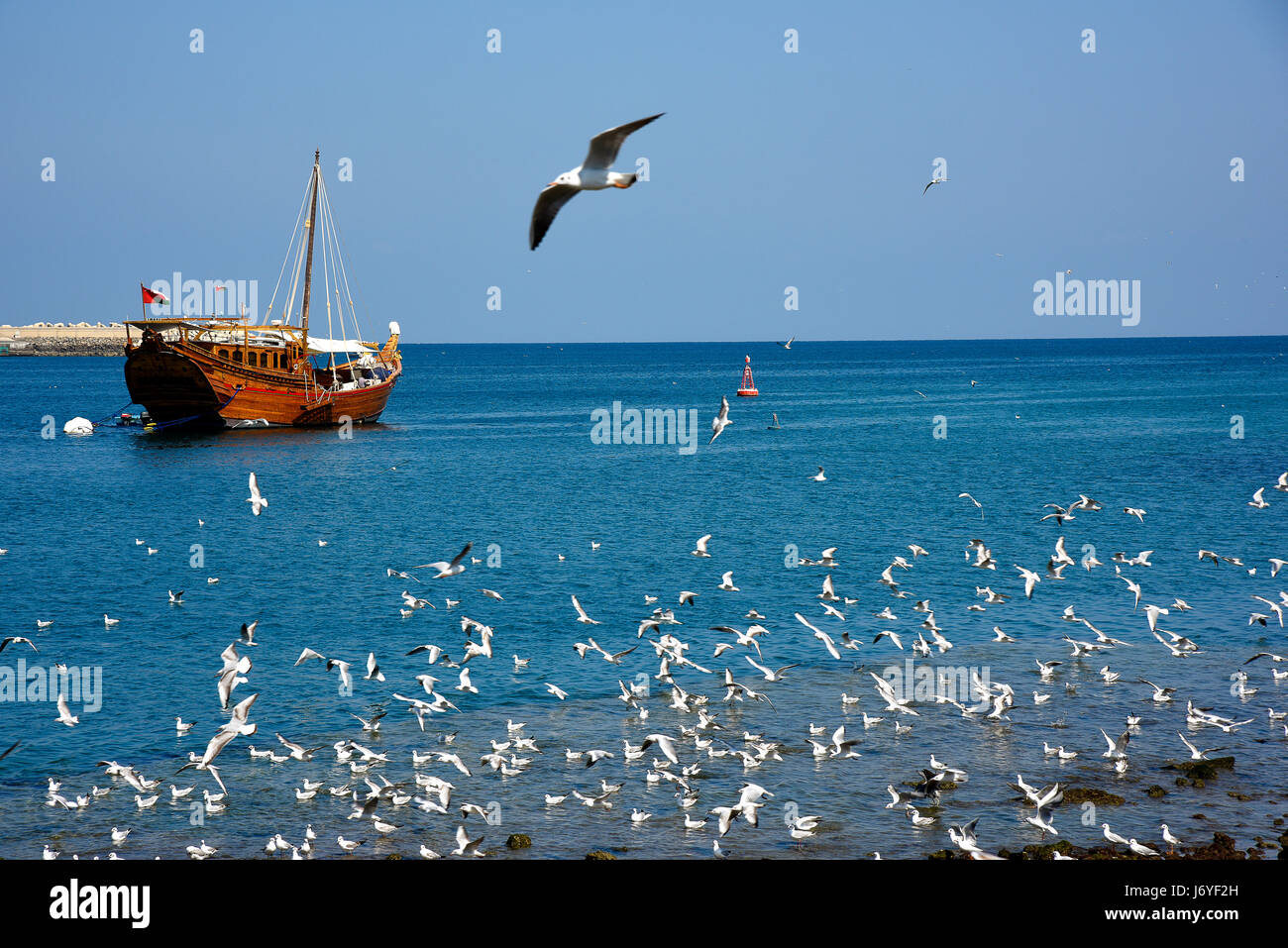 | Oman Muscat A dhow or traditional wooden sailing vessel in Mutrah ...