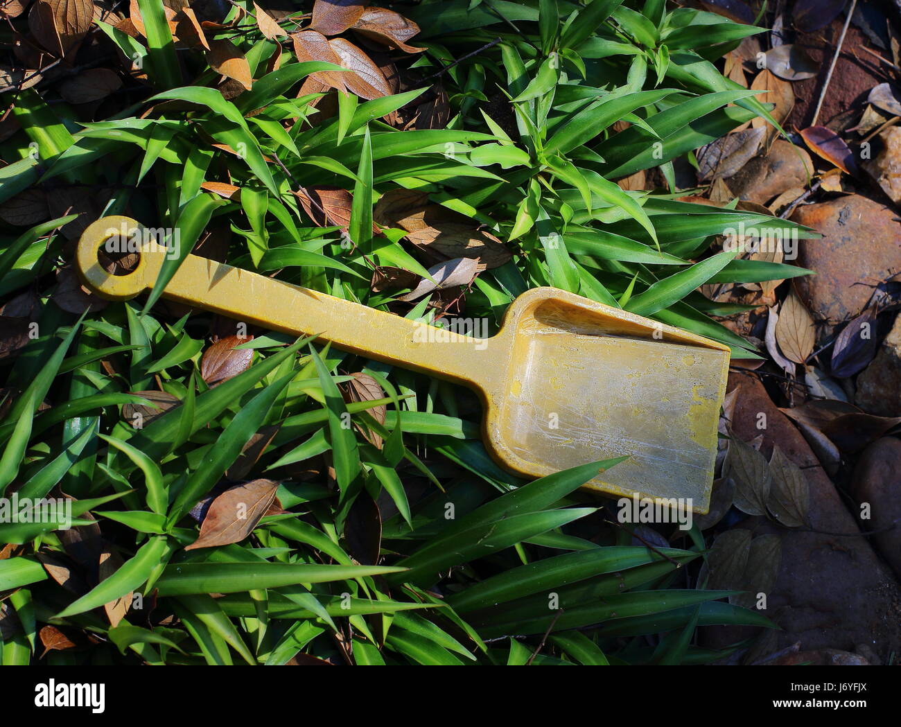 Child before the puberty hi-res stock photography and images - Alamy