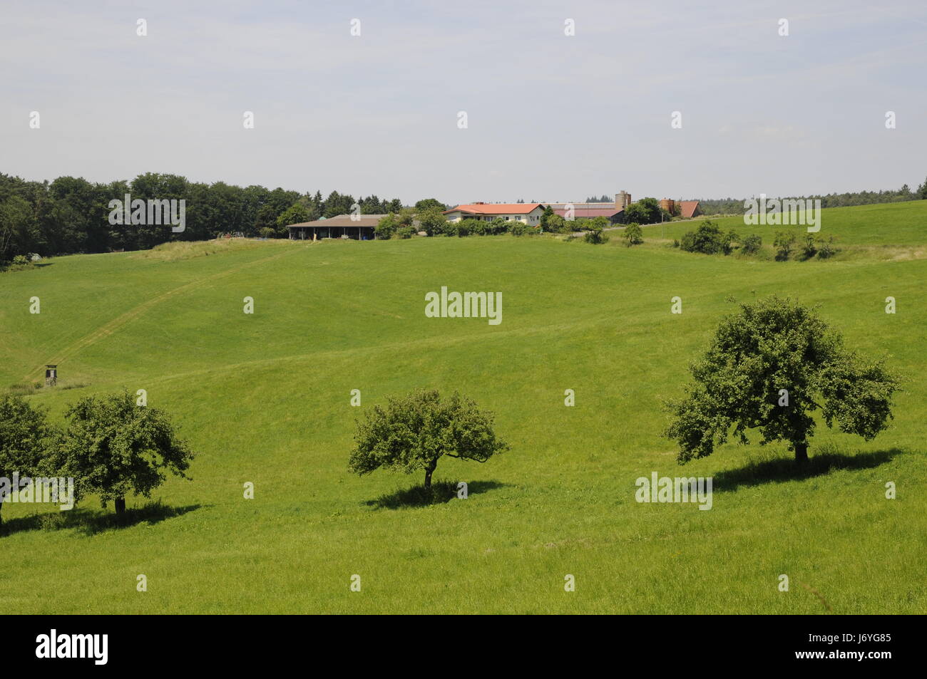 tree trees agriculture farming apple tree yard farm meadow courtyard ...