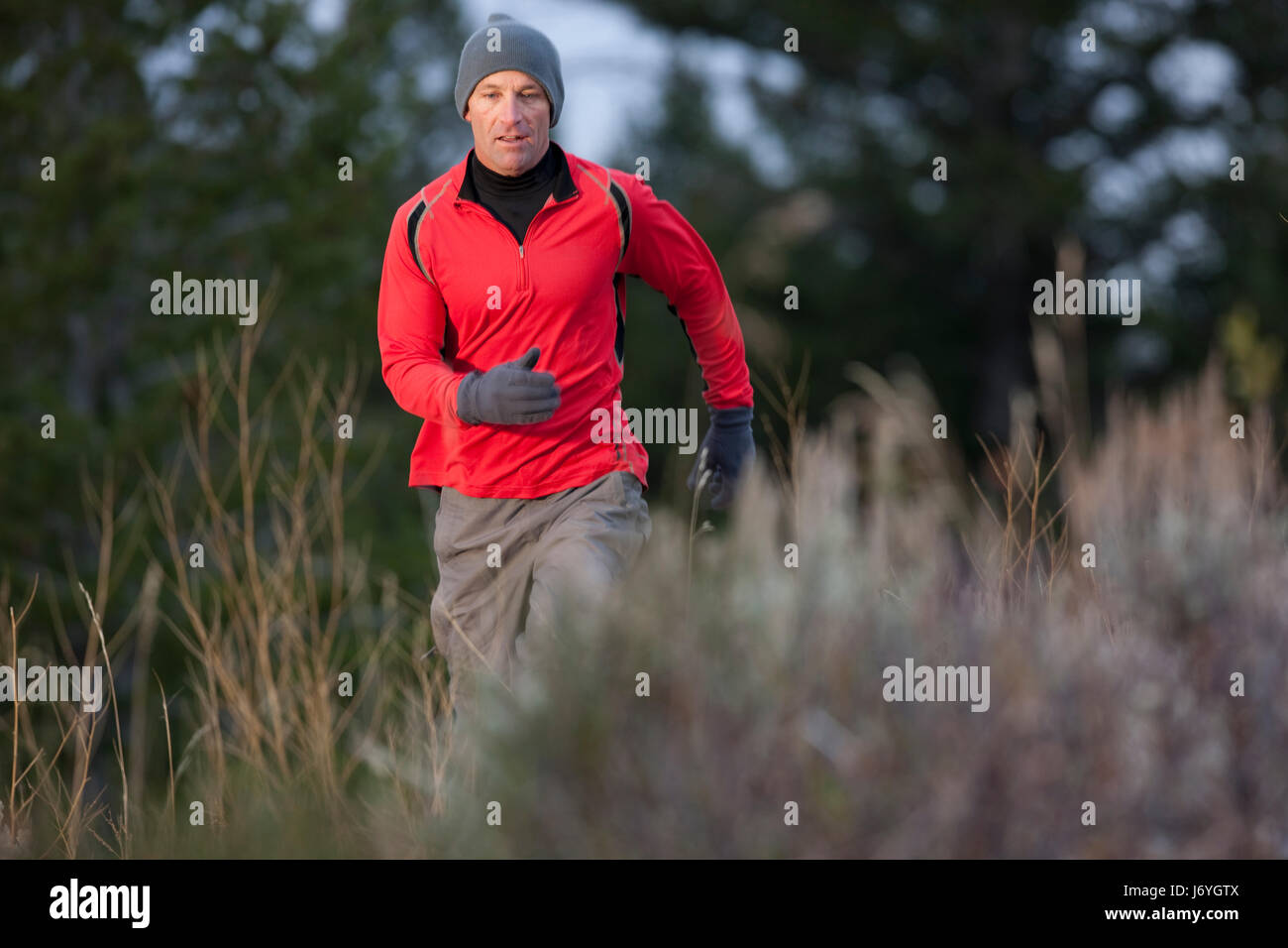 walk go going walking lifestyle tree trees male masculine hike go ...