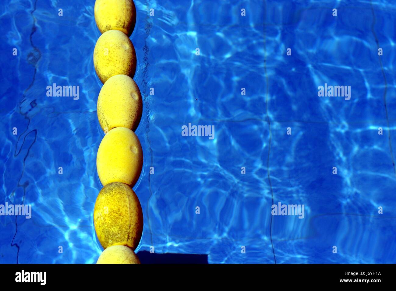 Photo of floating lane separators in a swimming pool Stock Photo - Alamy