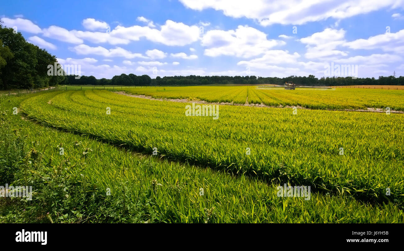 blue environment enviroment agriculture farming cloudy farm country ...