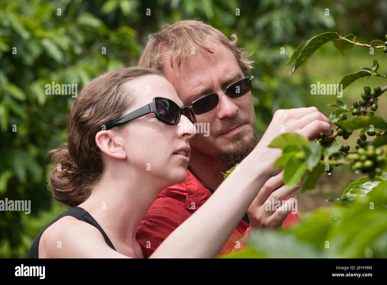 humans human beings people folk persons human human being coffee coffee ...