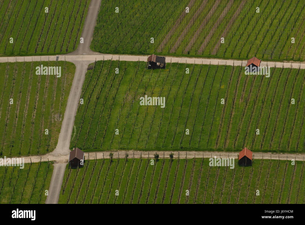 agriculture farming vineyard vines road junction green tourism ...