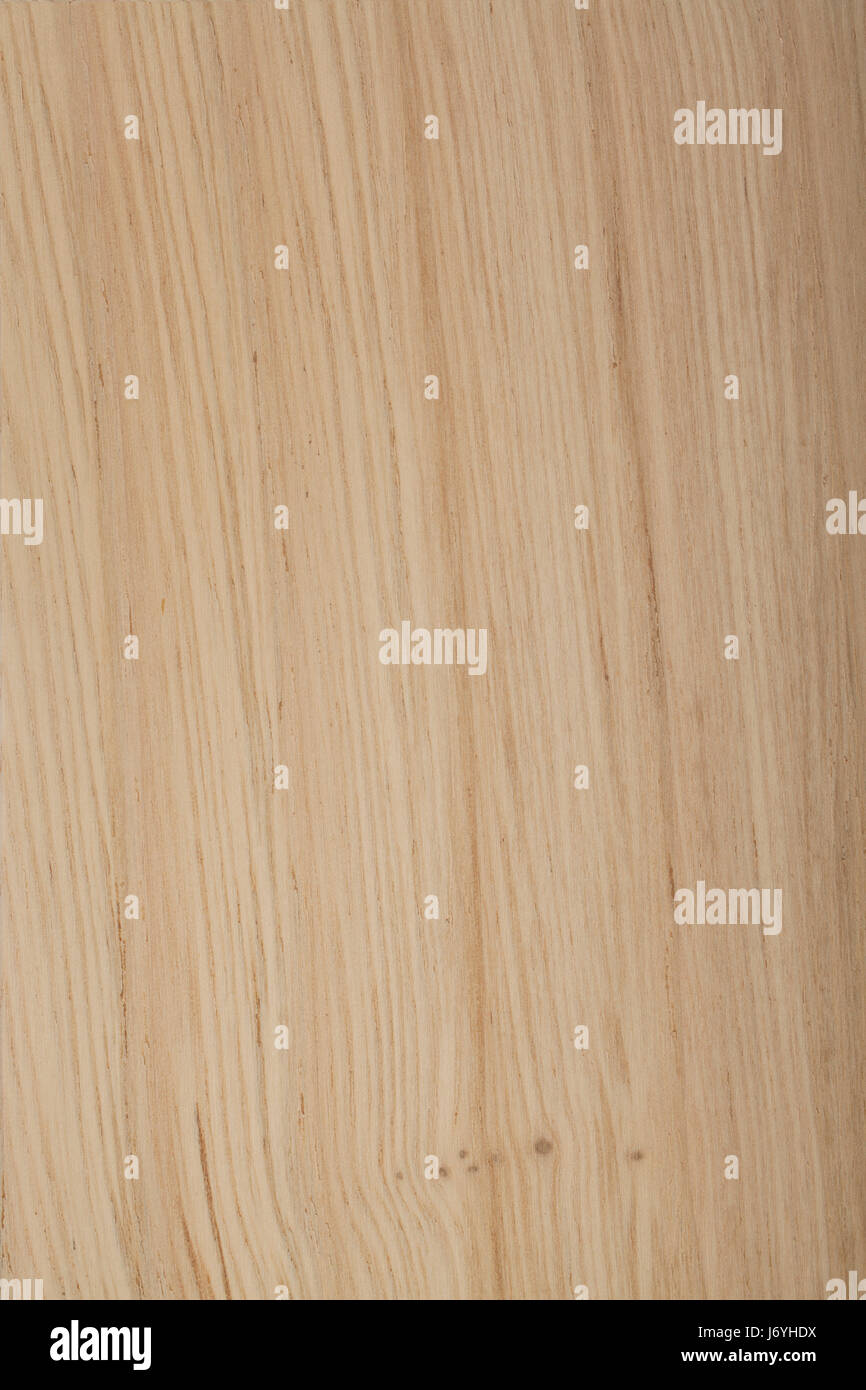 wood backdrop background texture chestnut wood deciduous tree surface ...