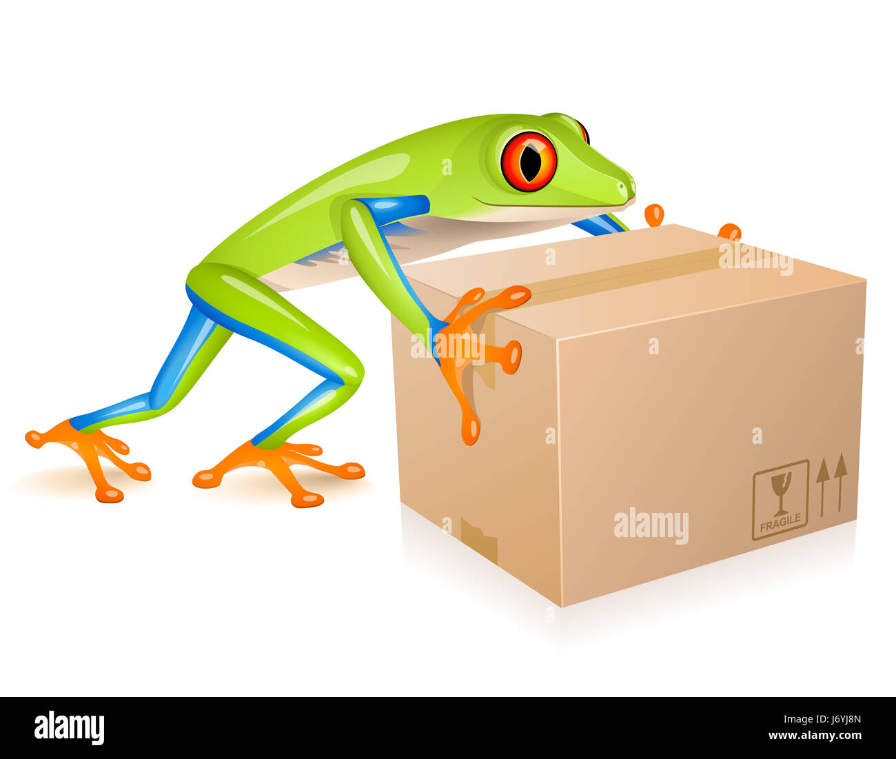 tree frog package box crate cardboard carton packet parcel delivery ...