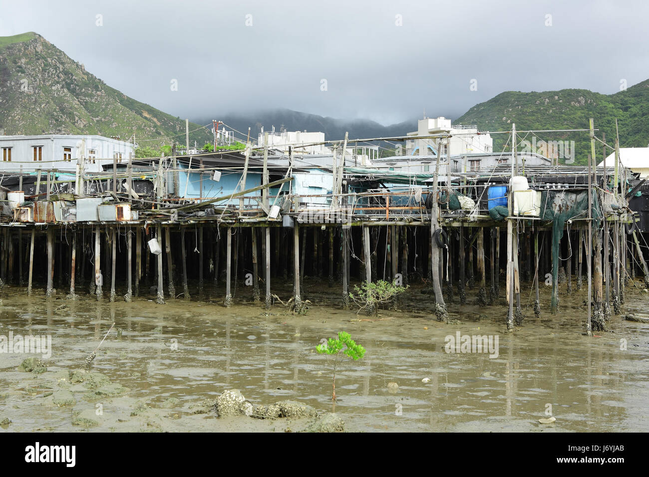 house building fishing stilt community village market town blue house ...