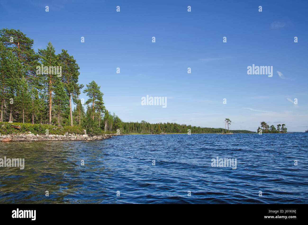 Rocky shore of a large lake. Forests along the coast. Kola Peninsula ...