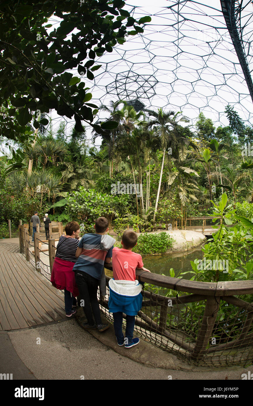 Eden project tropical dome hi-res stock photography and images - Alamy