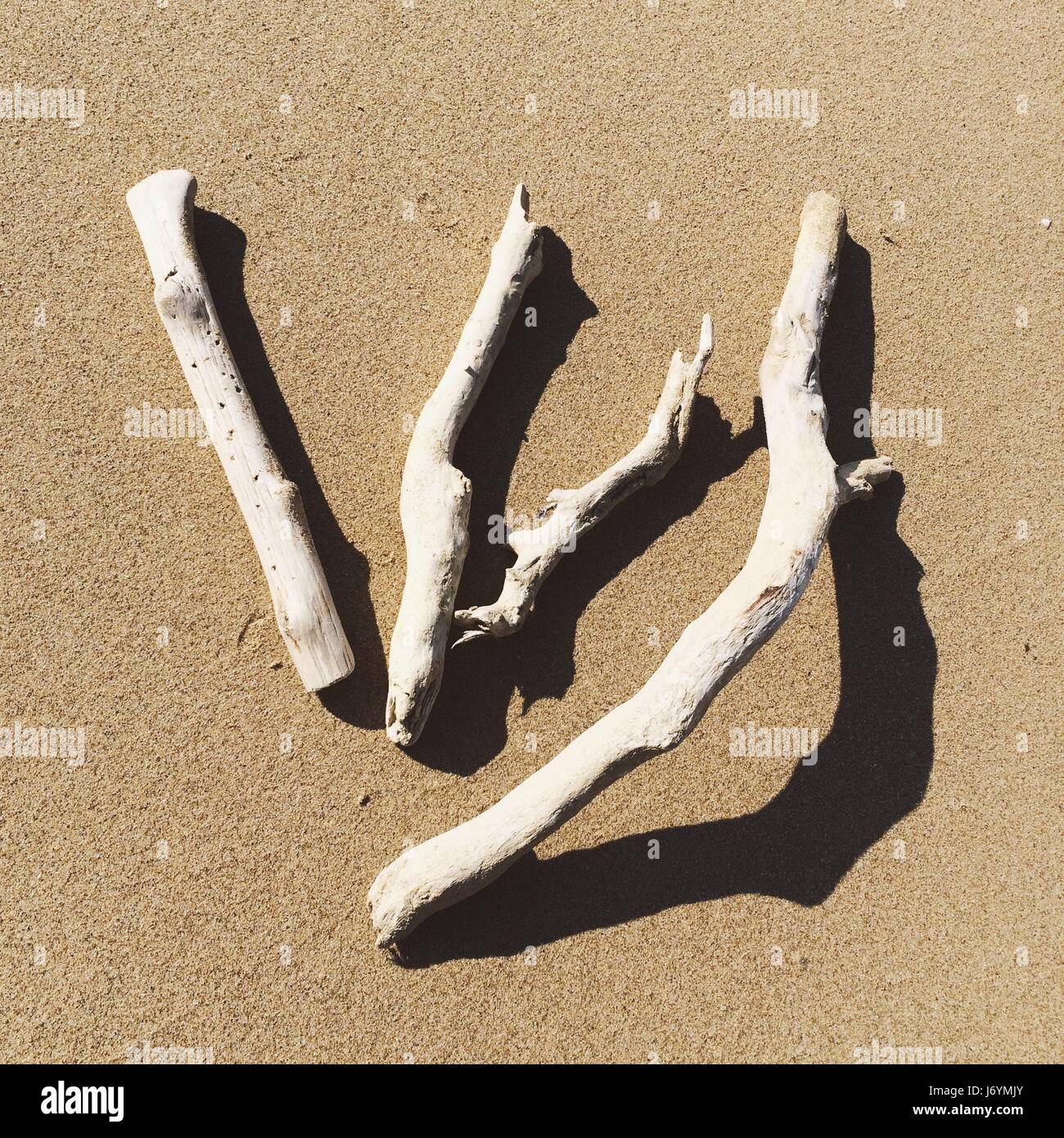 Wooden sticks on the beach Stock Photo - Alamy