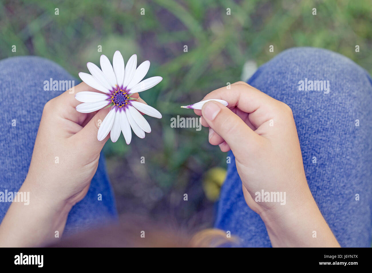Boy removing petals from a flower Stock Photo - Alamy