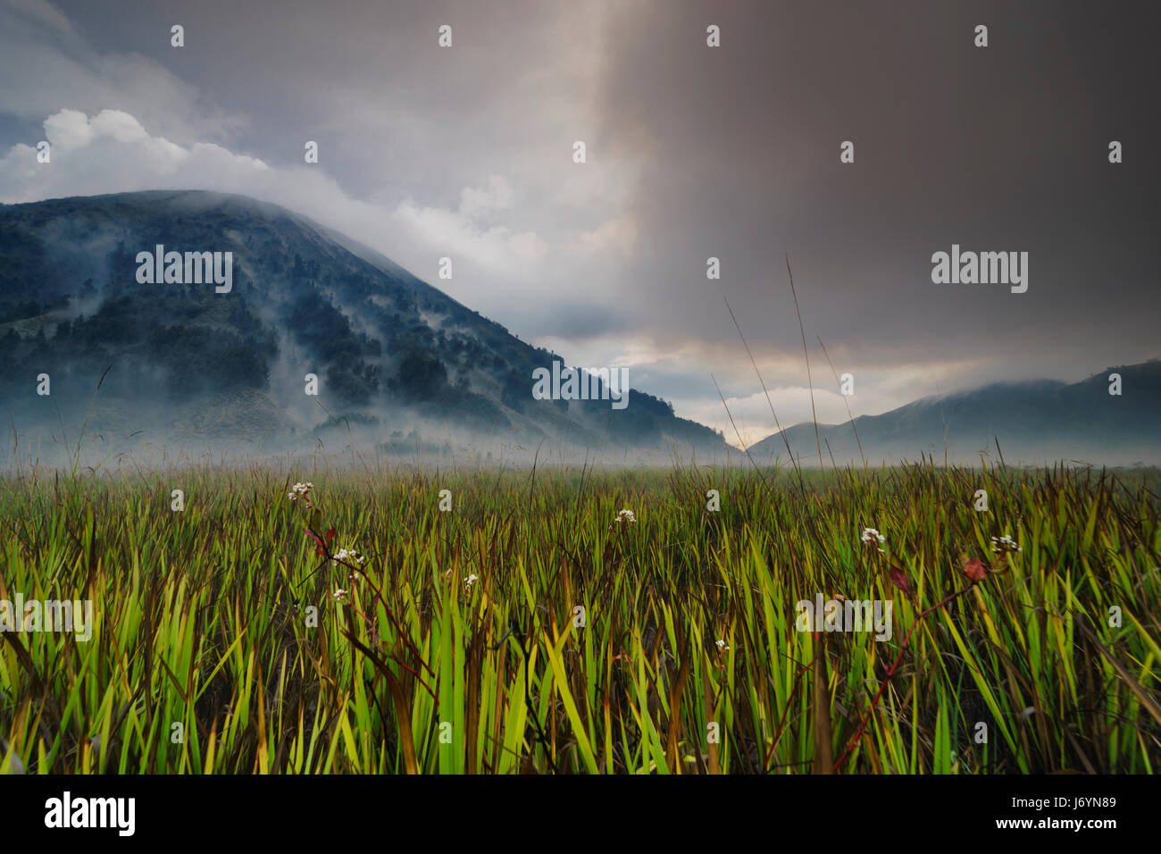 Mount bromo at sunset hi-res stock photography and images - Alamy