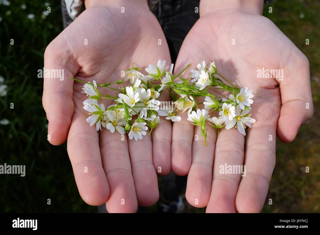Woman with large hands hi-res stock photography and images - Alamy