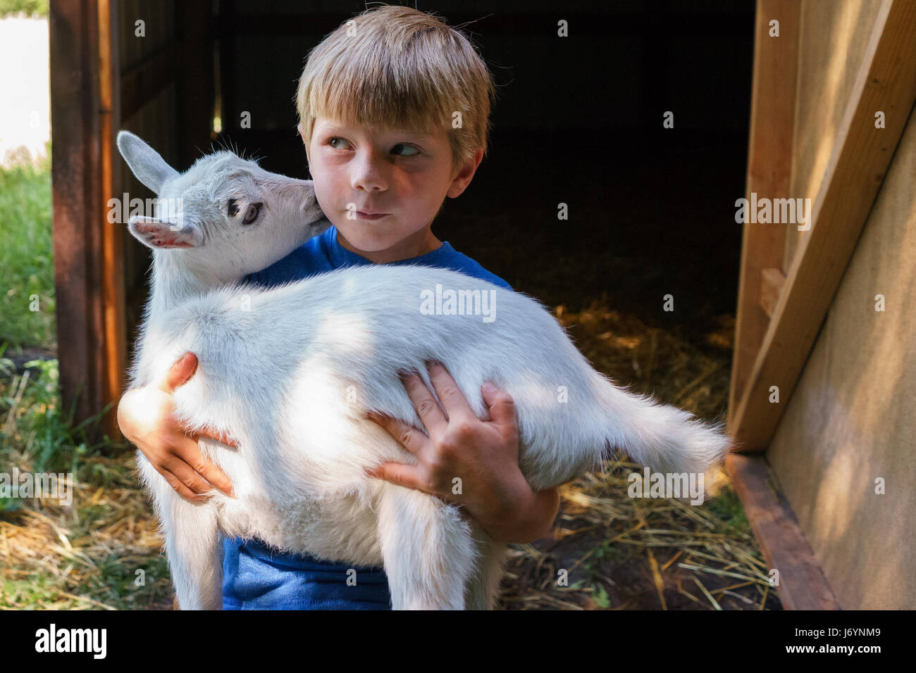 Boy hugging a goat on homestead Stock Photo - Alamy