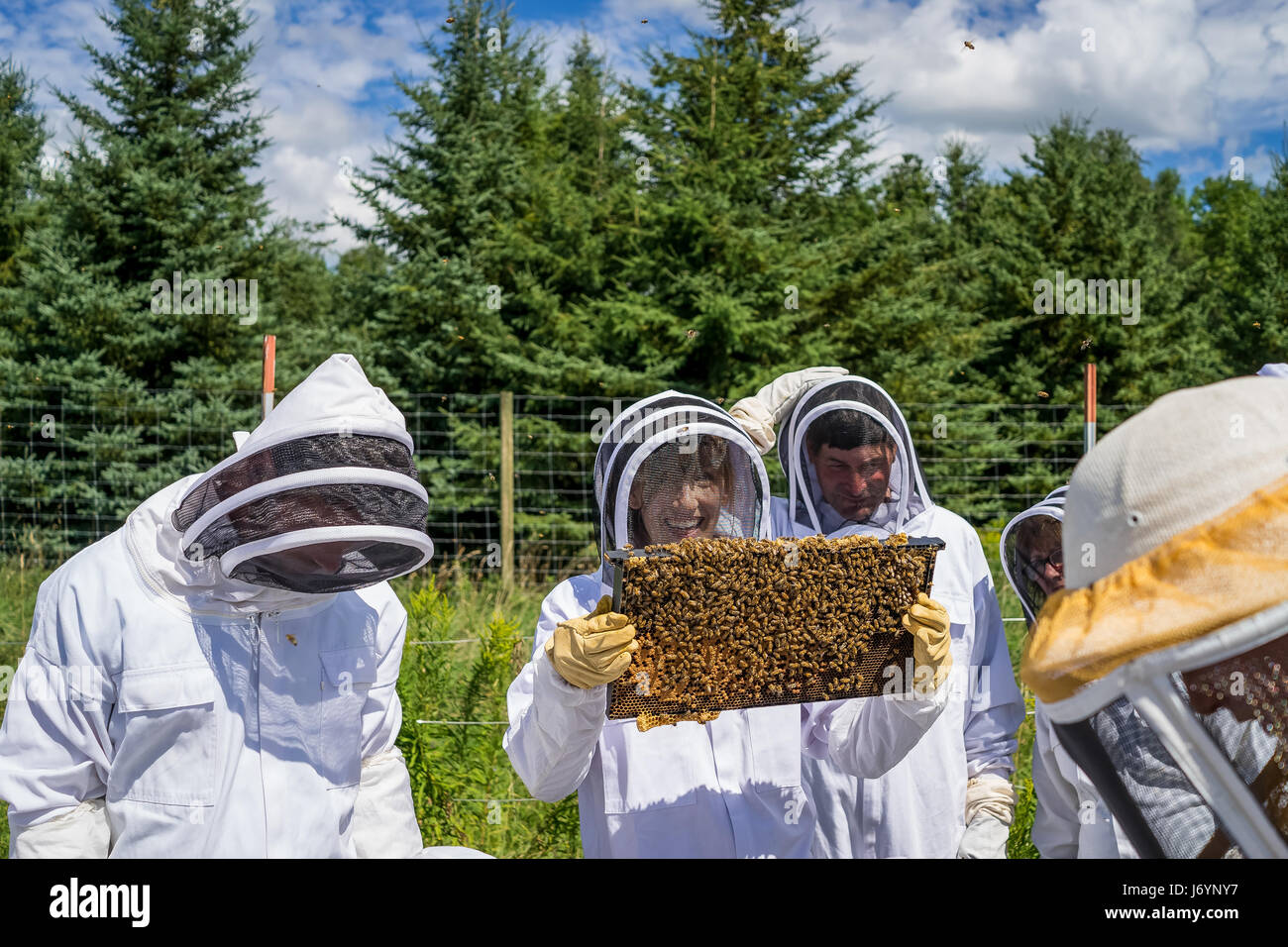 Beekeepers hi-res stock photography and images - Alamy