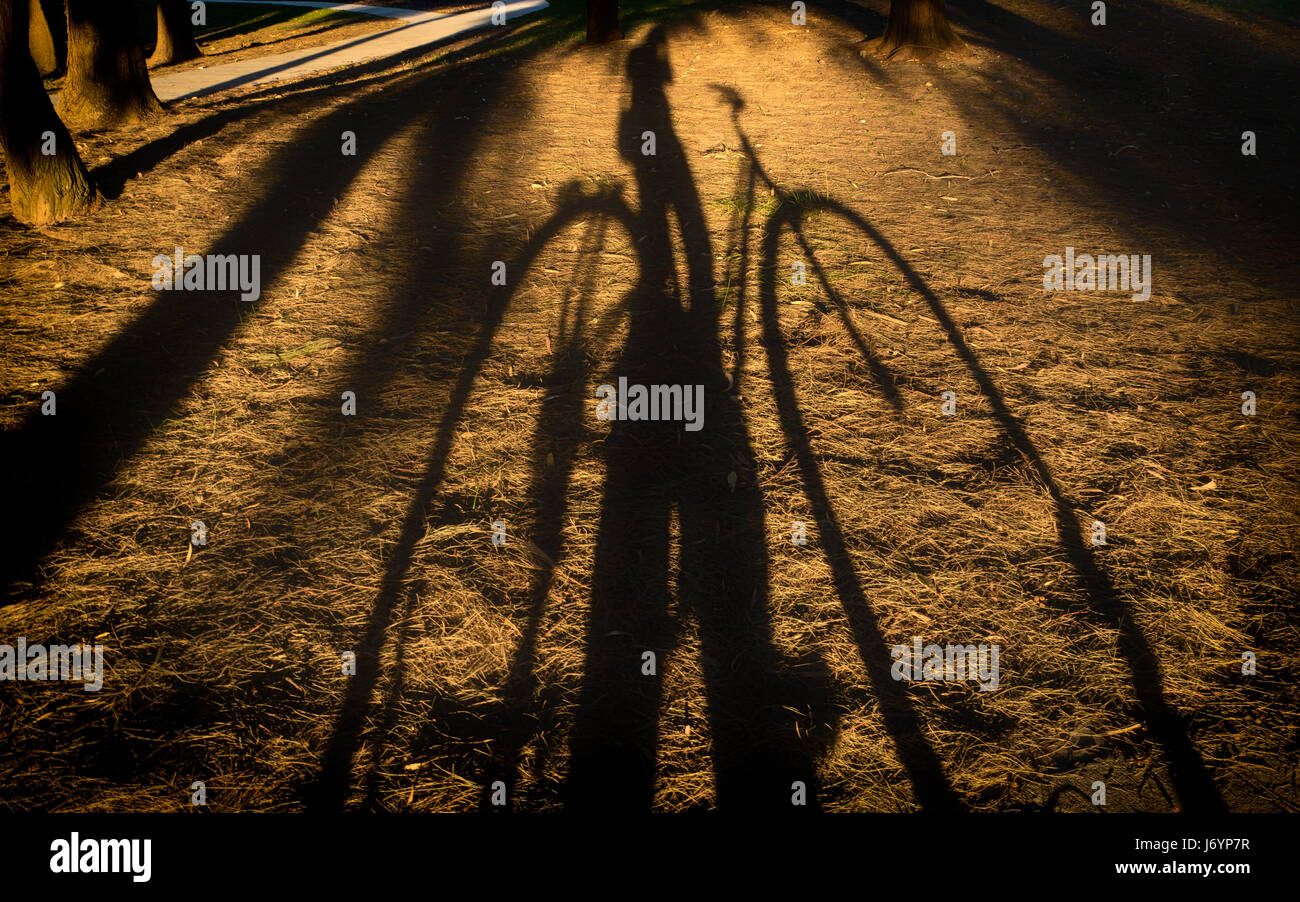 Sunlight shadow woman hi-res stock photography and images - Alamy