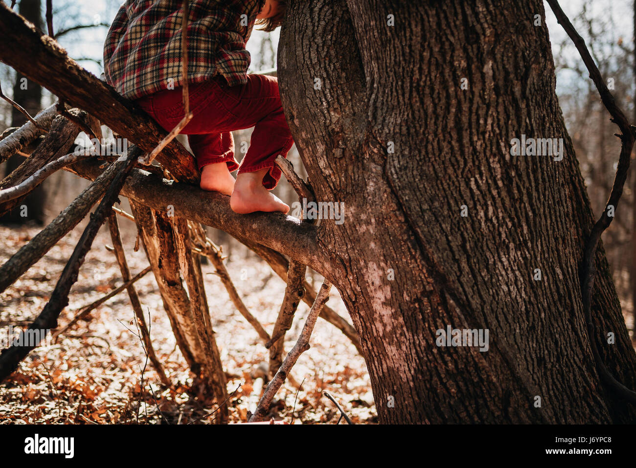 Boy climbing tree barefoot hi-res stock photography and images - Alamy