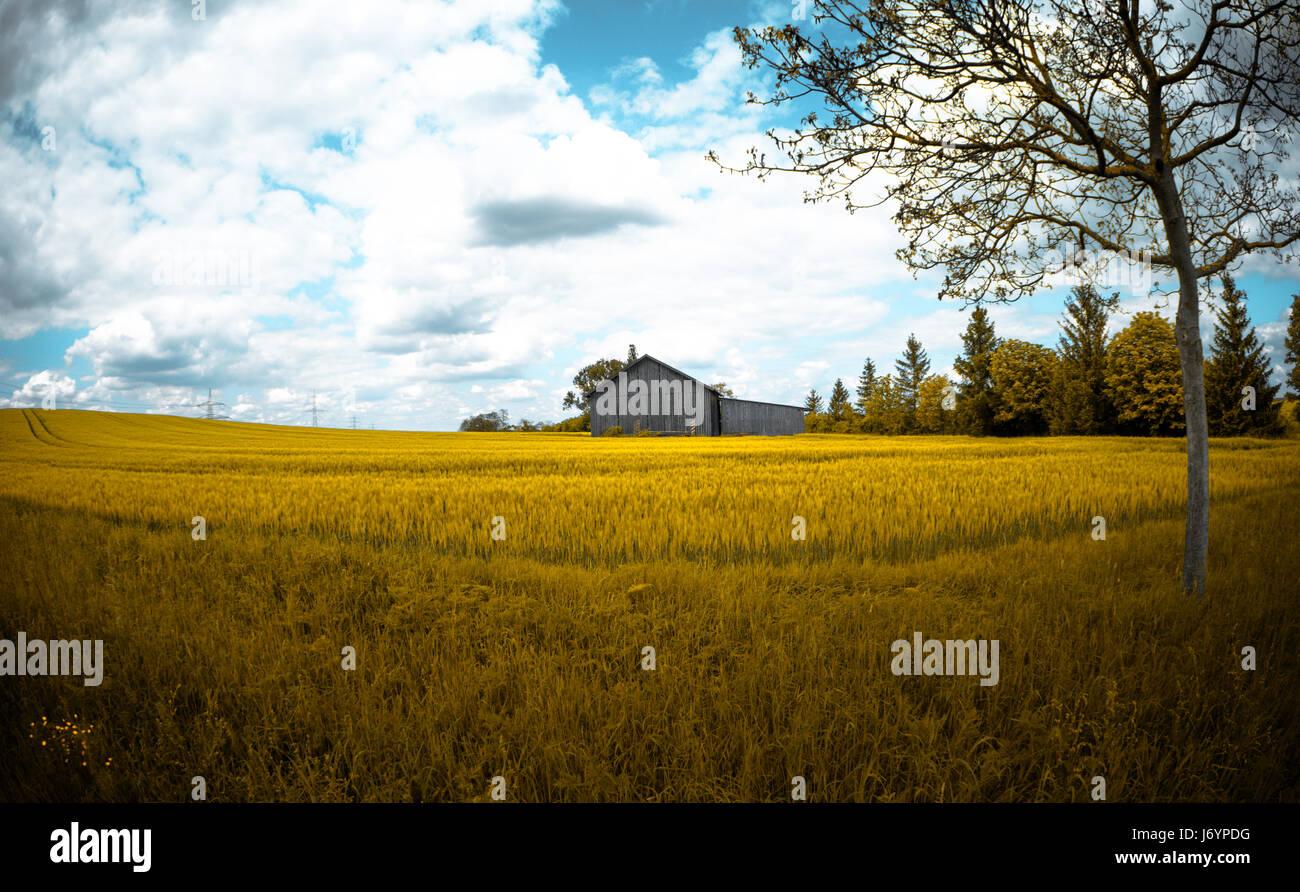 Barn in middle field hi-res stock photography and images - Alamy