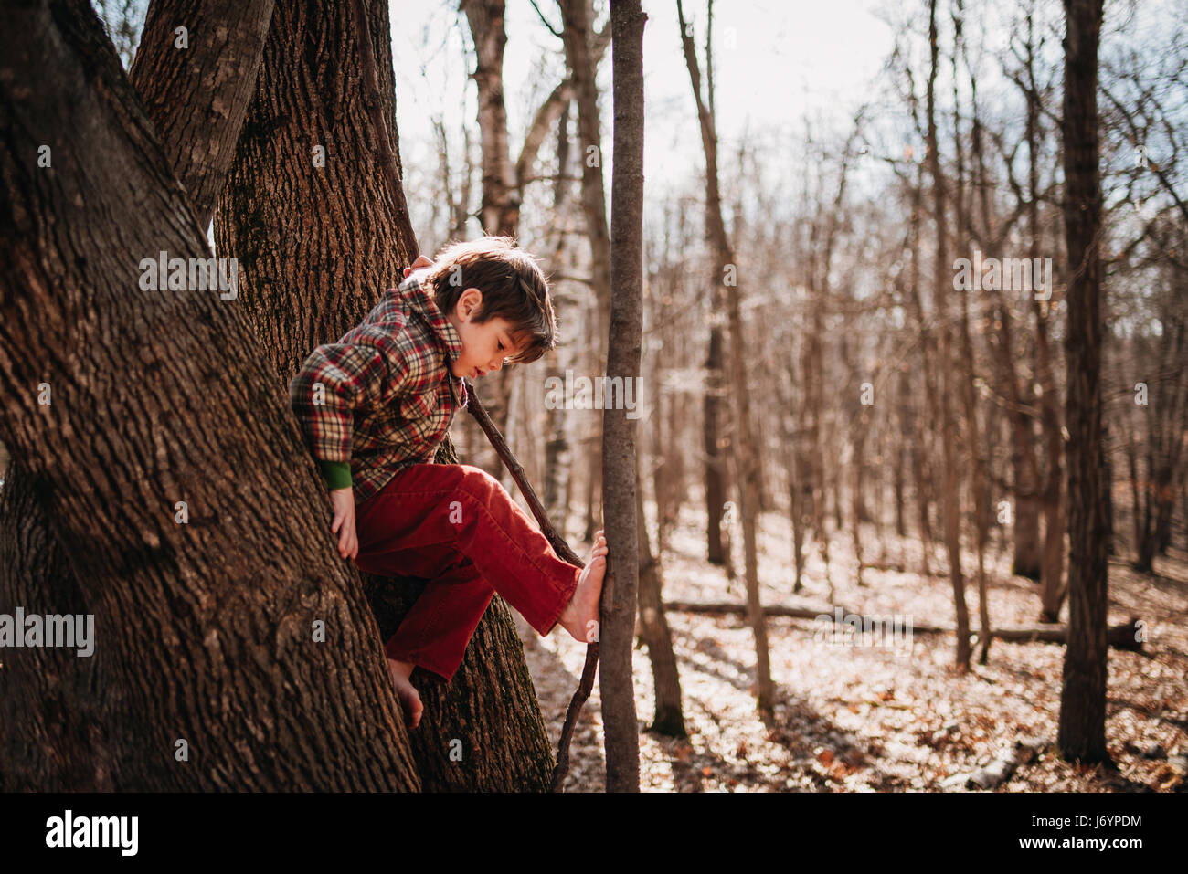 Boy climbing tree barefoot hi-res stock photography and images - Alamy